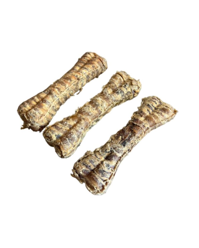 Buffalo Trachea Bone | Rhondda Raw